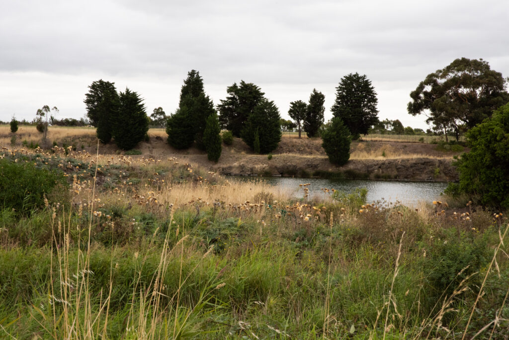 New Epping sets a global standard in land regeneration | New Epping